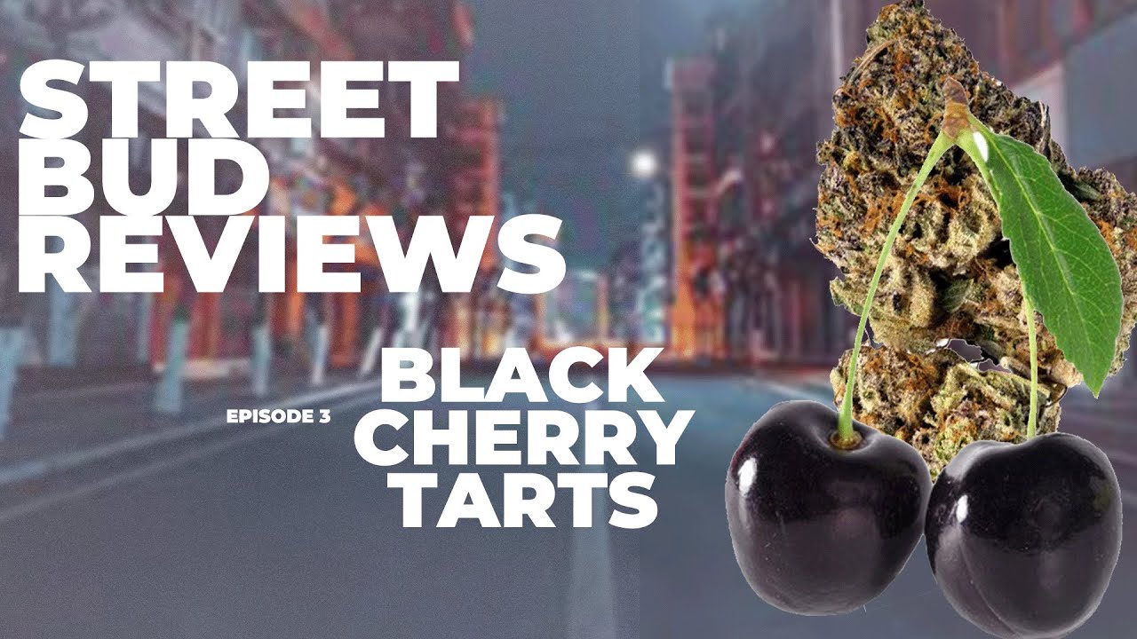 STREET BUD REVIEWS EP 3 - BLACK CHERRY TARTS - YouTube