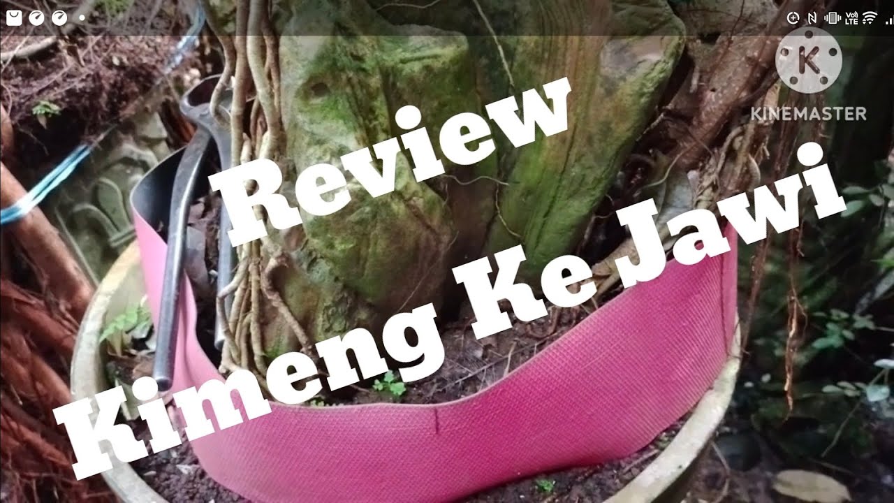 Review Kimeng Ke Jawi - YouTube