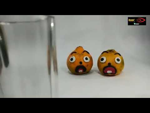 Funny stop motion video - YouTube