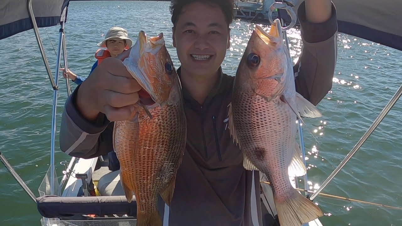 FINGERMARK/GOLDEN SNAPPER are on the chew!! Awesome fun for the kids ...