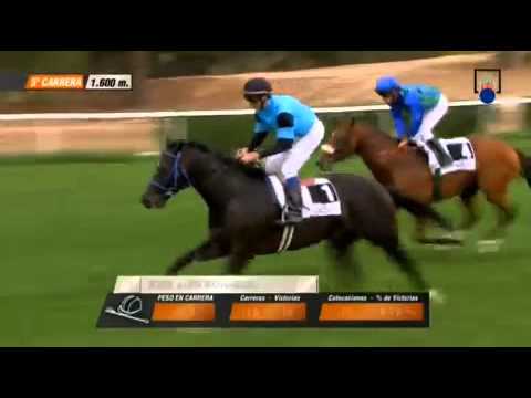 La Zarzuela 21-09-2014 DIEGO VALOR (Turfeiros Galegos)