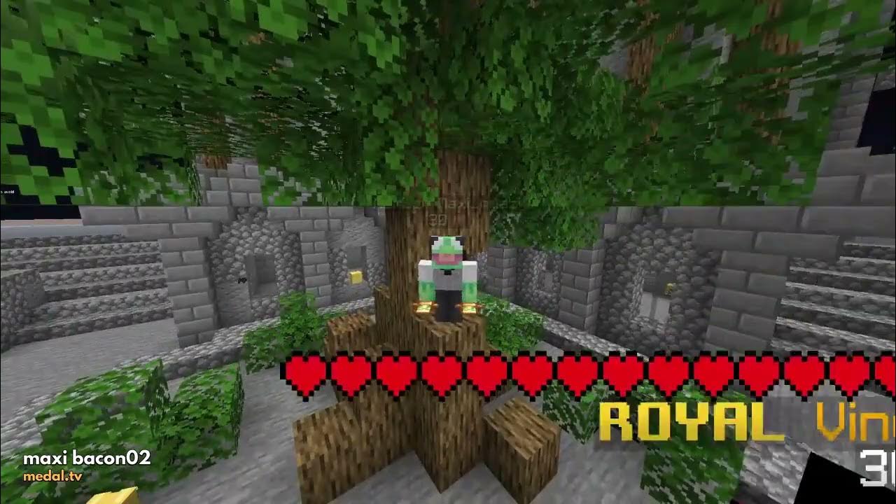 BEST MINECRAFT SERVER, ip kingSMP.net - YouTube