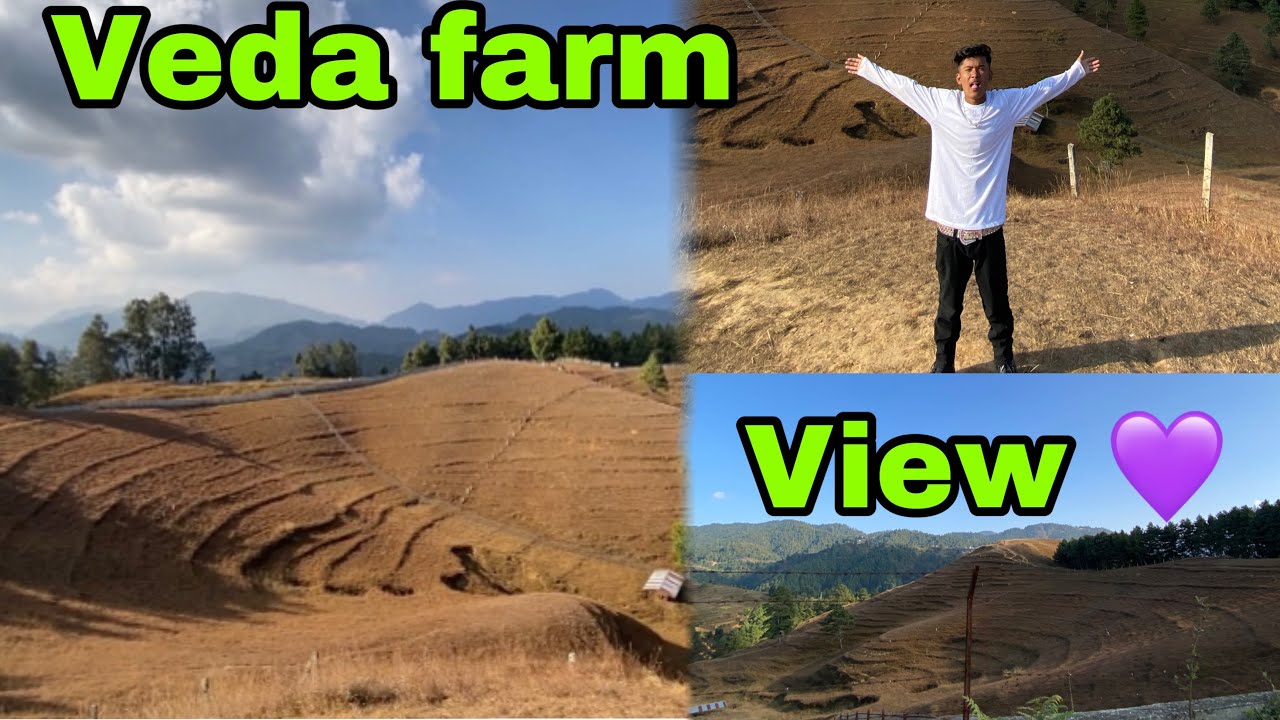 DAY 3 || IN CHITALNG || VEDA HERNA VEDA FARM TIRW CHALDEKO ☺️ || SINGLE ...
