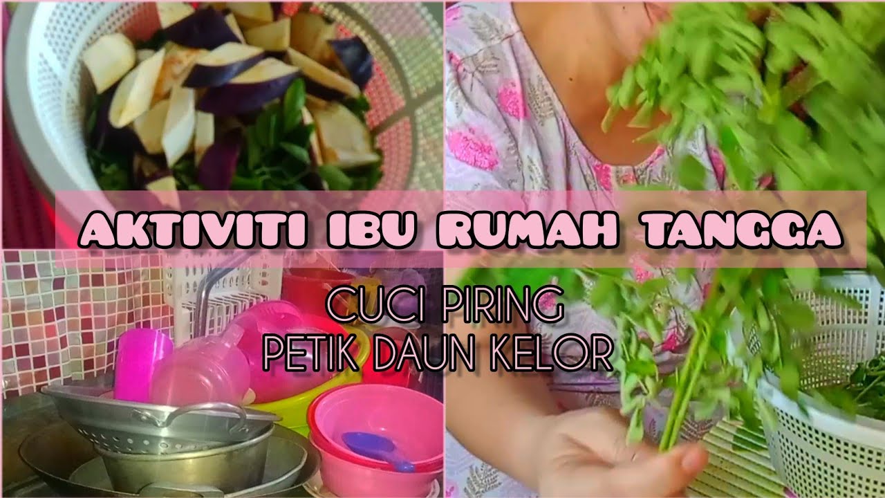 DAILY VLOG IRT | CUCI PIRING LANGSUNG PETIK DAUN KELOR - YouTube
