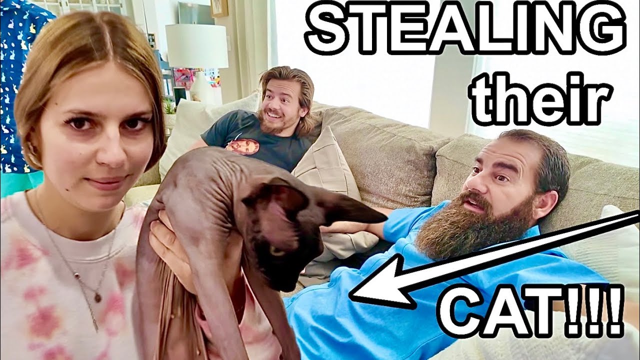 STEALING the TANNERITES CAT!!! - YouTube