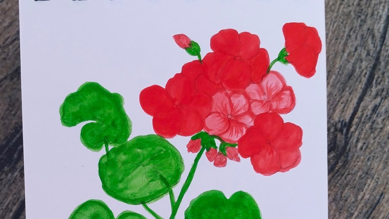 How to colour Red flower art | water colour painting | acrylic drawing ...