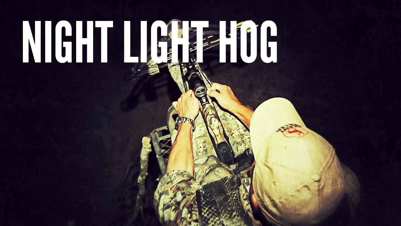 Texas Hog Hunting with Crossbow | Night Light - YouTube
