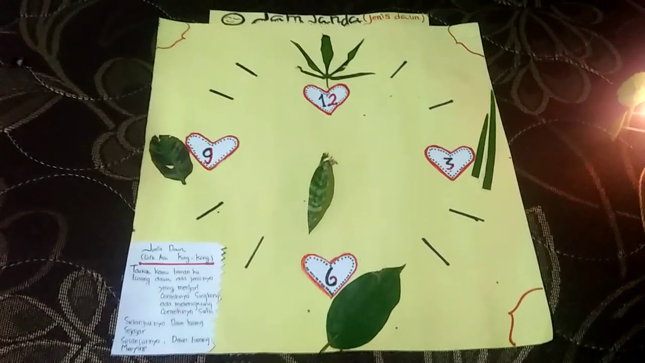 JAM JANDA (JENIS DAUN) -IPA-KELAS 4 - YouTube