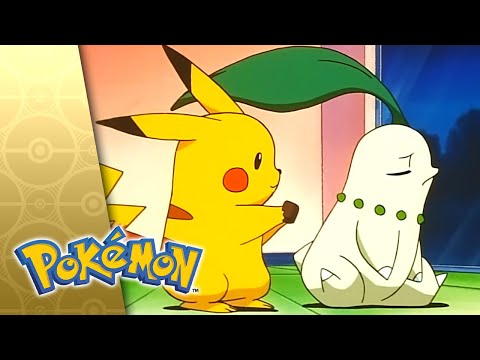 Chikorita's Big Upset! | POKÉMON FULL EPISODE 20 | Season 3