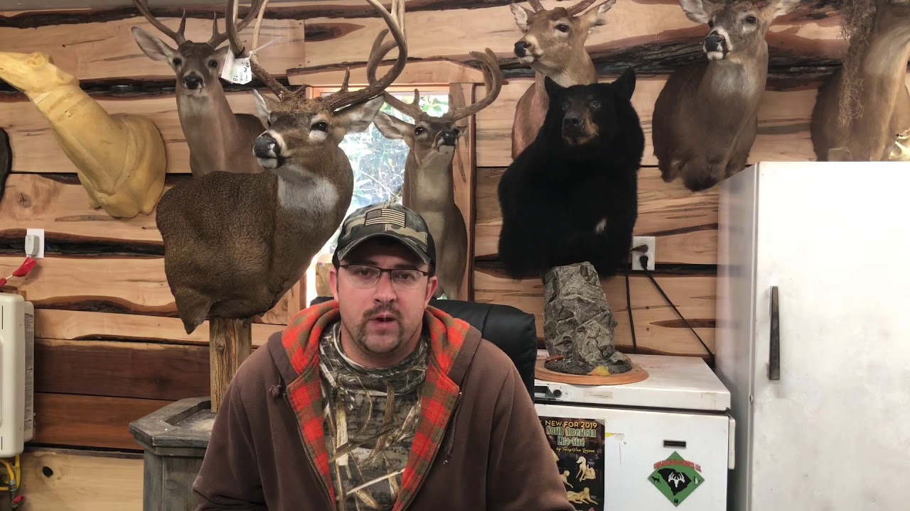 CWD/ deer caping talk - YouTube