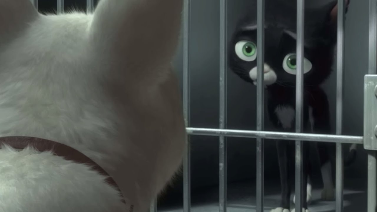 BOLT Animal Rescue movie Tell GamerCassPlays - YouTube