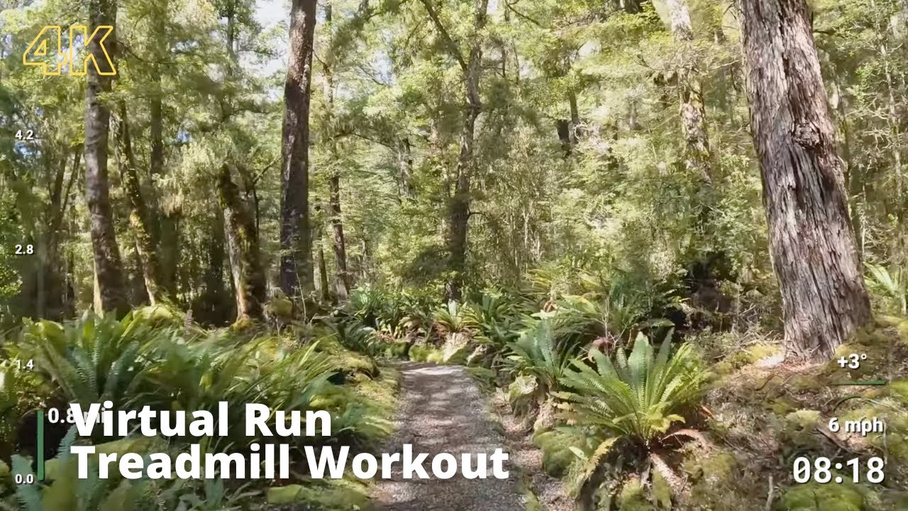 Virtual Run | Virtual Running Videos Treadmill Workout Scenery | Forest ...