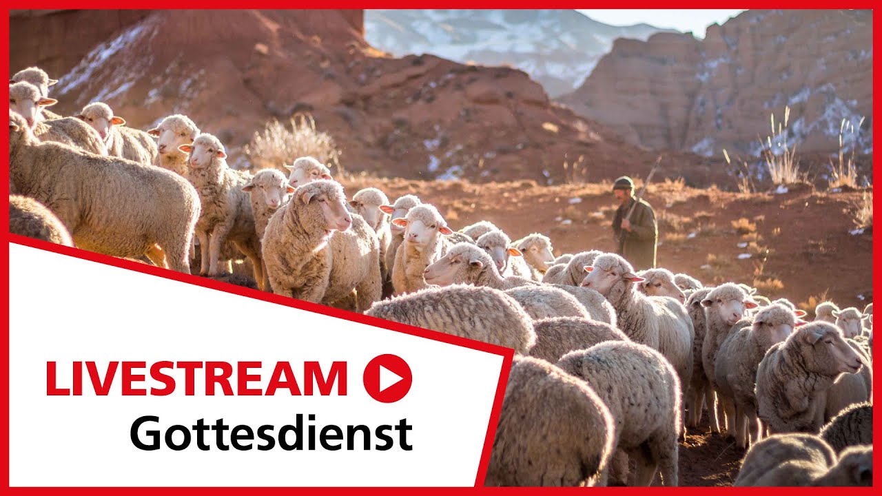 05.07.2020 | Livestream Gottesdienst FEG Murten | Hirtenperspektive ...