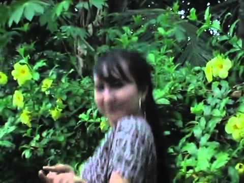 GOYANG NARSIS TAMI BRONDONG