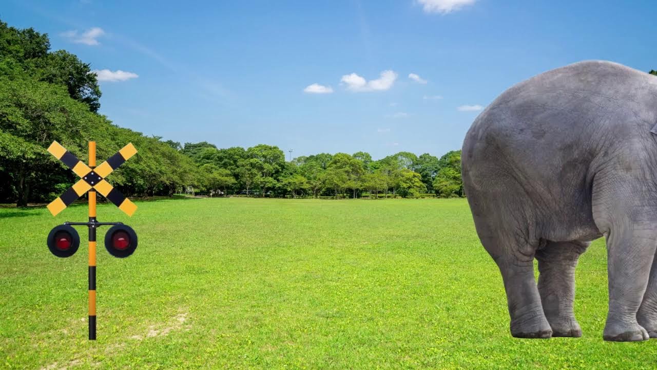 【踏切アニメlive】楽しいふみきりカンカンの日常 #2777 A fun railroad crossing every day #2777 ...