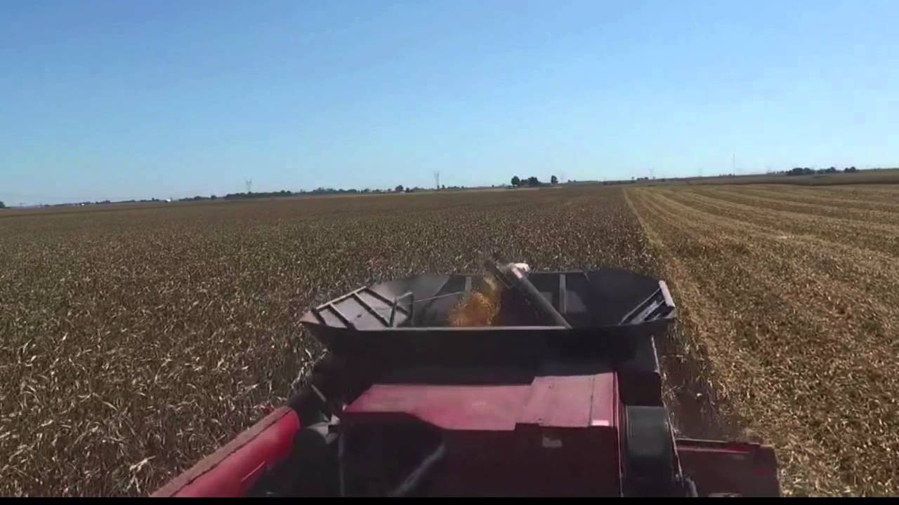 Harvest 2015 with Schmidt Family Farms in Central Illinois. - YouTube
