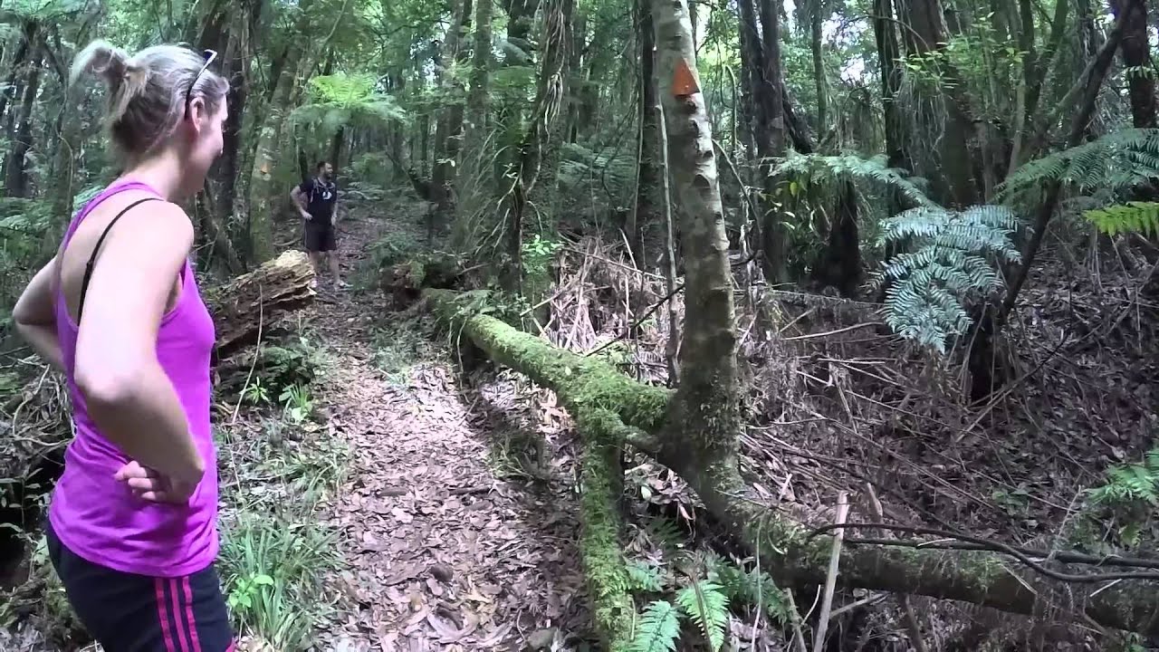 Te Tapui Loop Track - YouTube