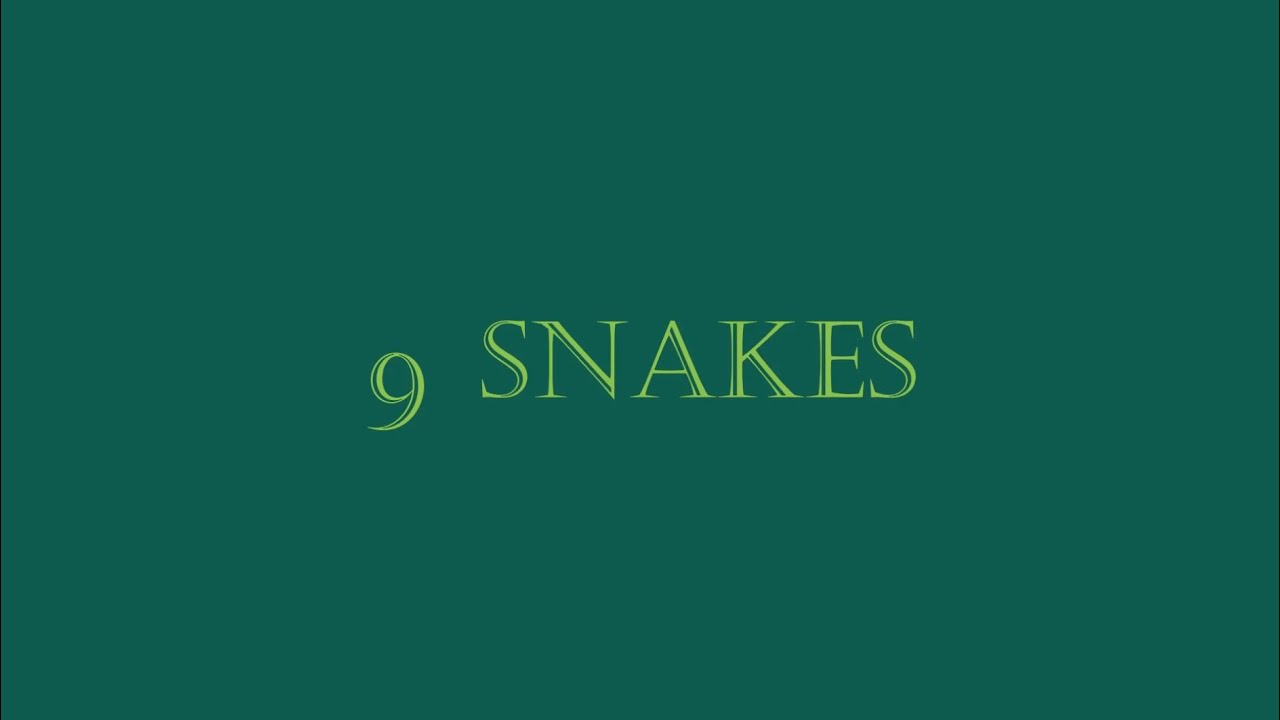 9 snakes - YouTube