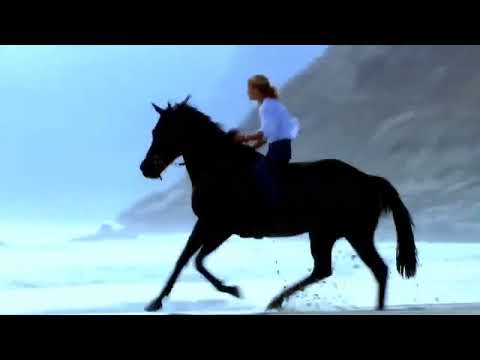 & Mamikon Mkrtchyan-liberta(cover 2022)