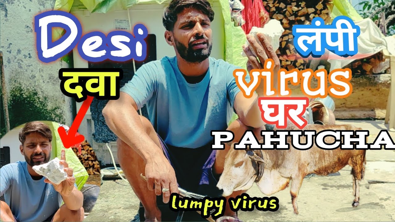 लम्पी virus Pahucha घर में || Desi treatment se lumpy virus at home - YouTube
