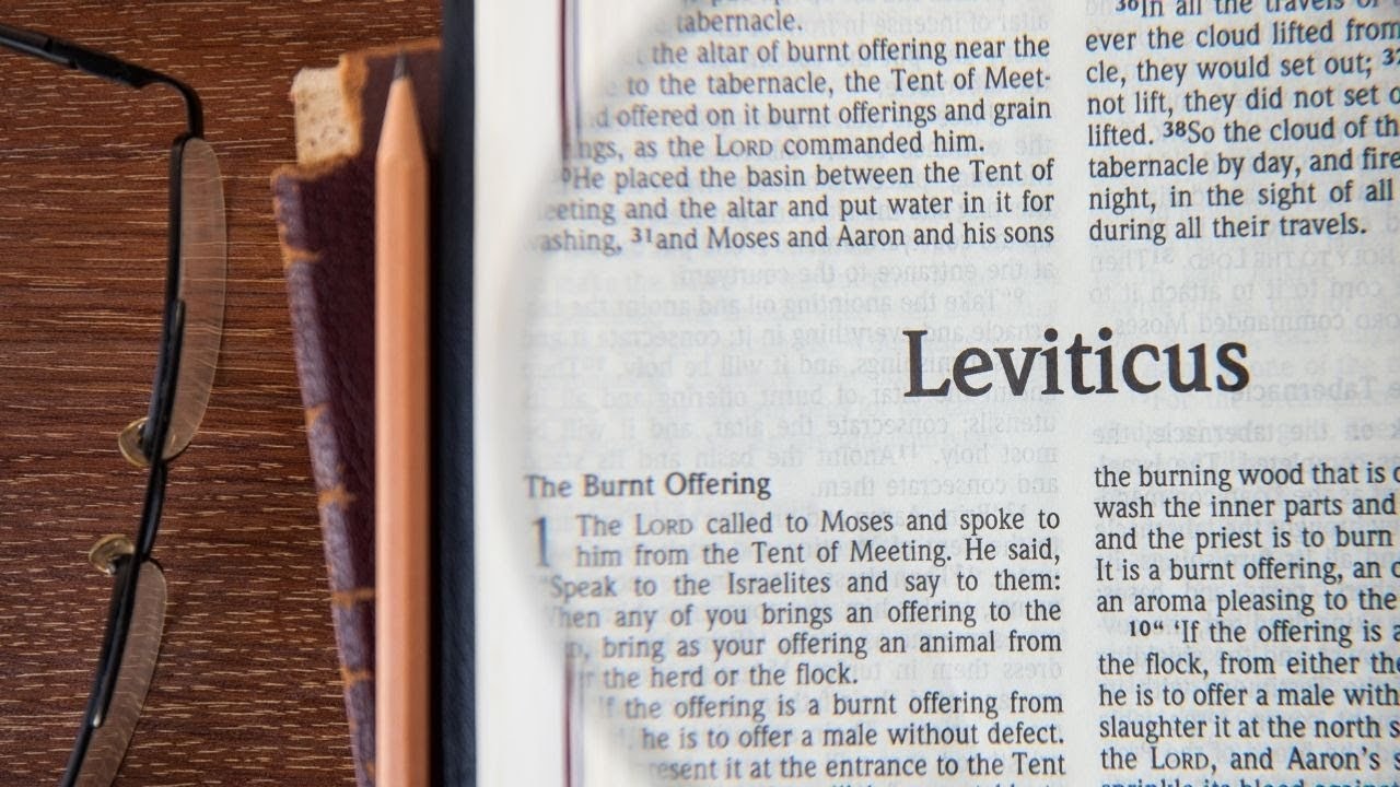 Leviticus 23 The Seven Jewish Festivals - YouTube