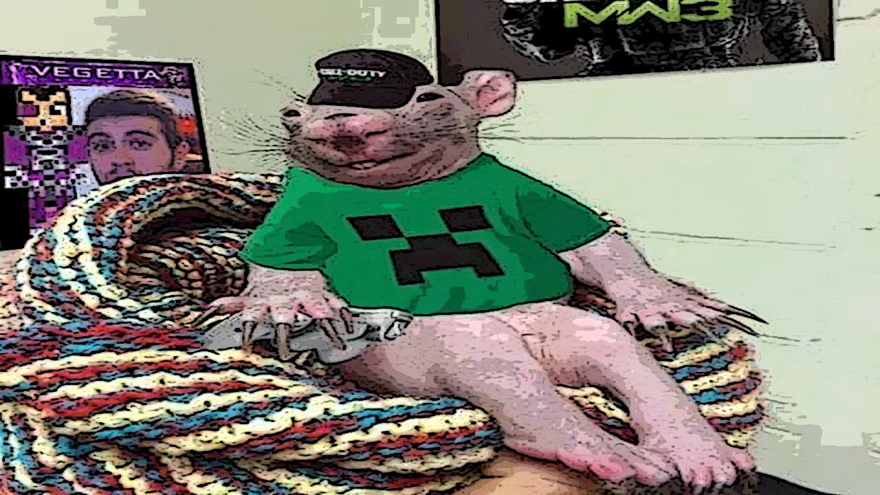 El vídeo de un niño rata - YouTube