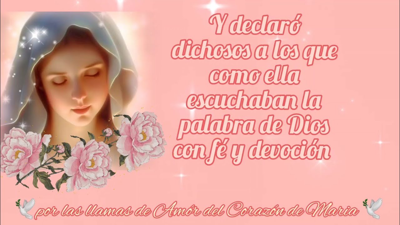 Bajo El Manto de Maria 23 Estrellas ⭐️Miercoles 5/24/2023 # ...