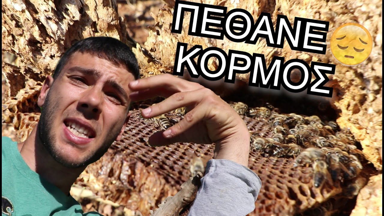 ΕΙΜΑΙ ΠΟΛΥ ΣΤΕΝΑΧΩΡΗΜΕΝΟΣ - YouTube