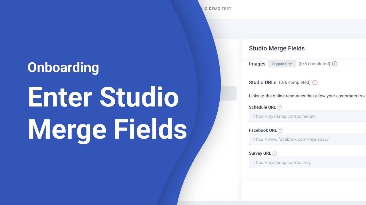 Enter Studio Merge Fields - YouTube