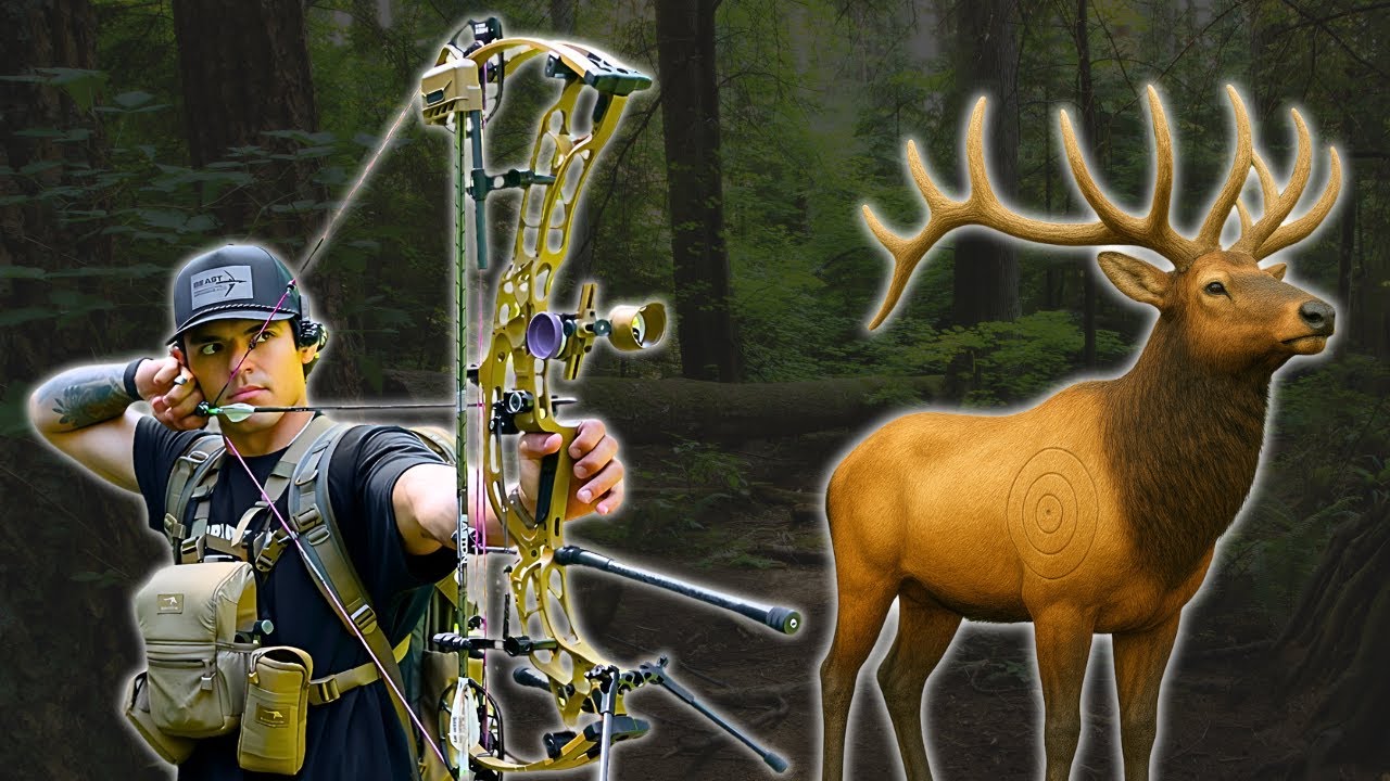 Solo 3d archery shoot with the Hoyt AX2 - YouTube