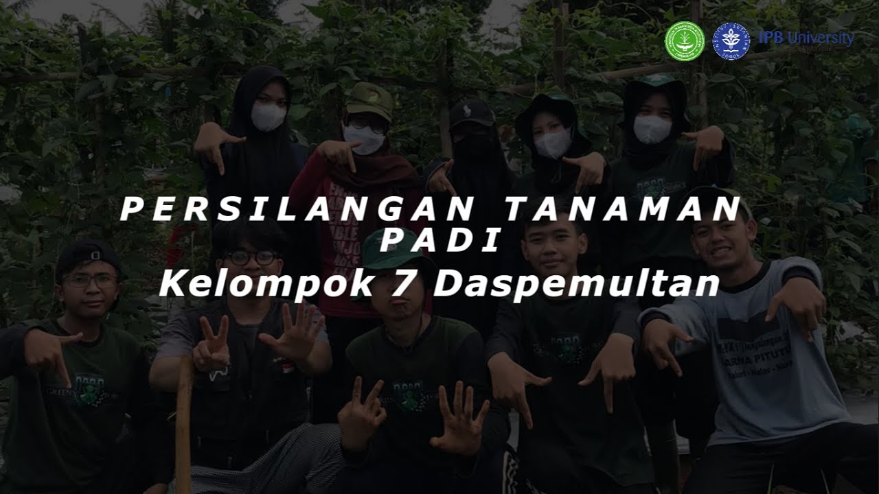 Persilangan Padi_Kelompok 7 - YouTube