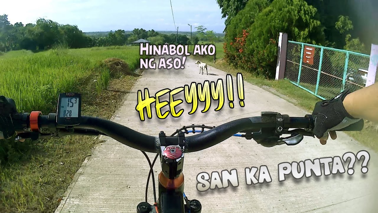 PASALOG... hinabol ako ng ASO! - YouTube
