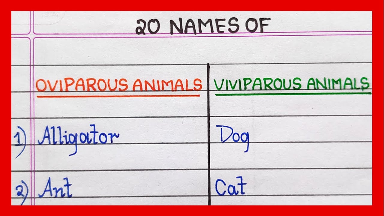 Example of Oviparous and Viviparous Animals | 10 | 20 List of Oviparous ...