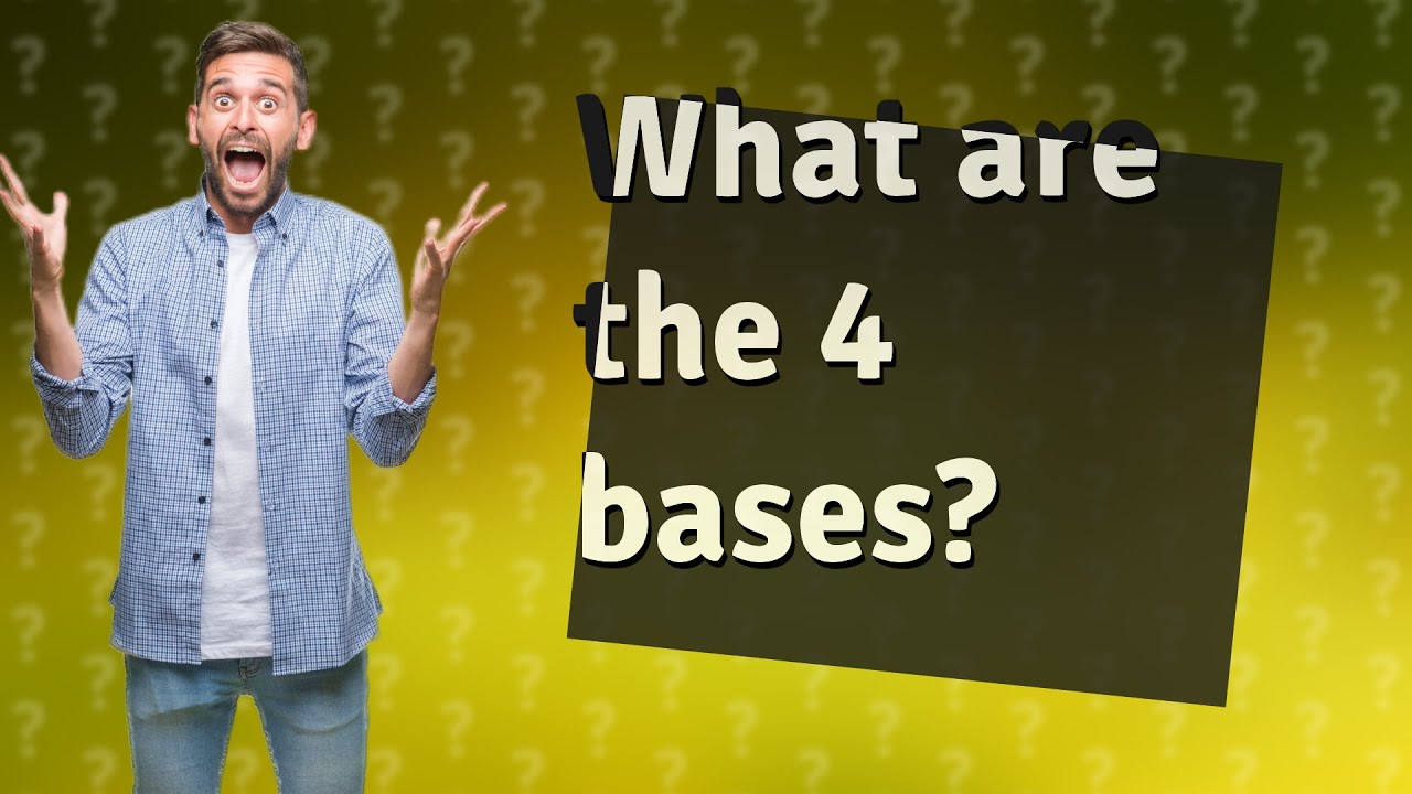 What are the 4 bases? - YouTube