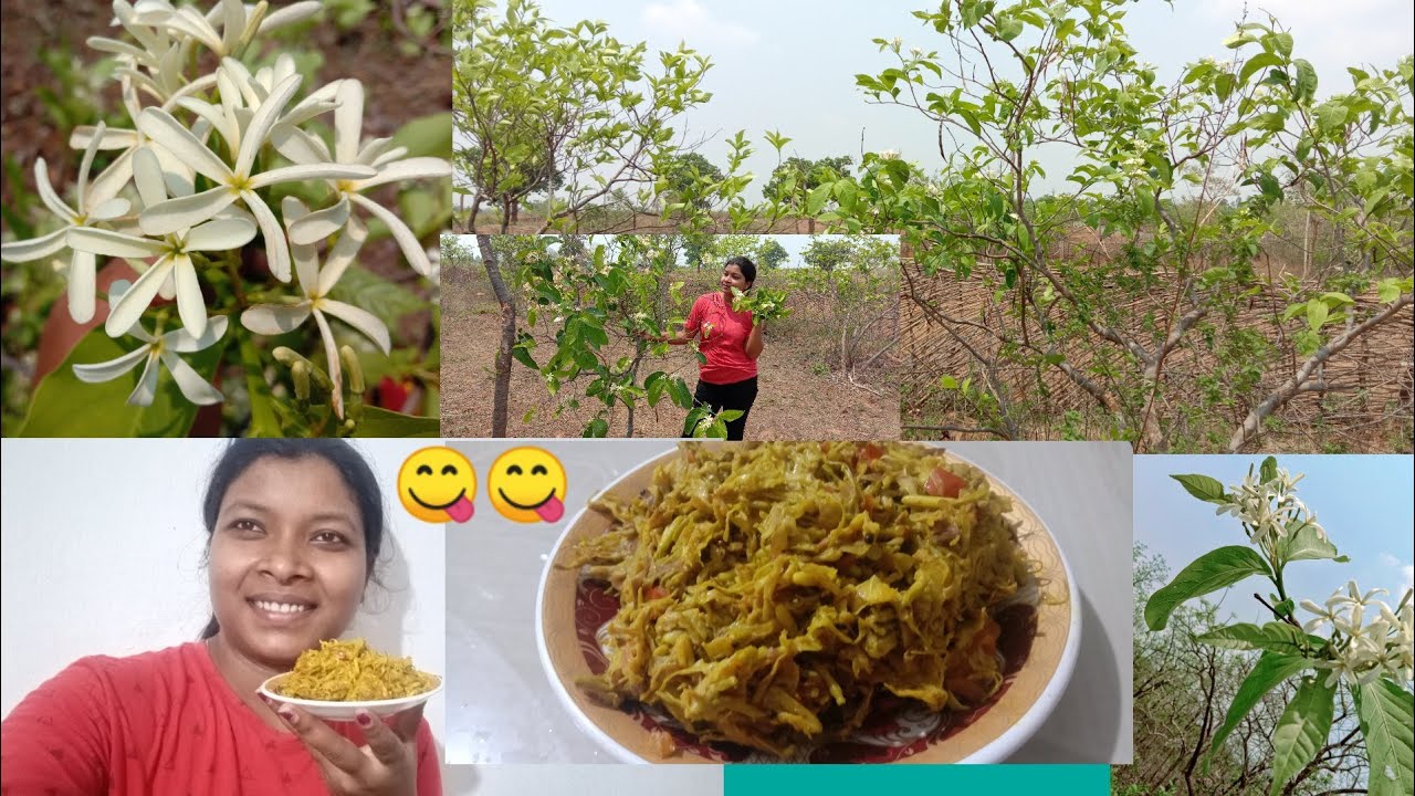 bastar food // village // 😋😋😋 tasty food - YouTube