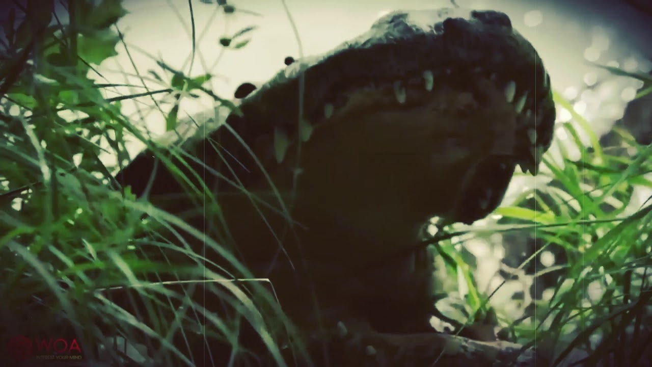 Fearless Elephant risking his life saves his child from evil crocodiles ...