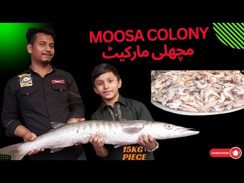 FISH MARKET | MOOSA COLONY | KARACHI #fishmarket #karachi - YouTube