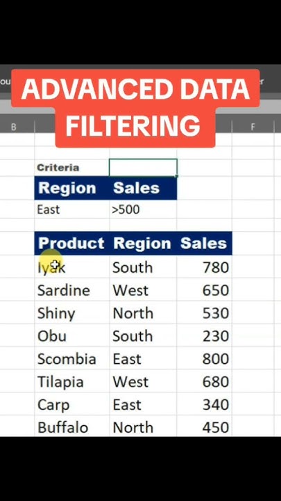 How to apply Data filter in EXCEL | Advanced Data Filtering - YouTube