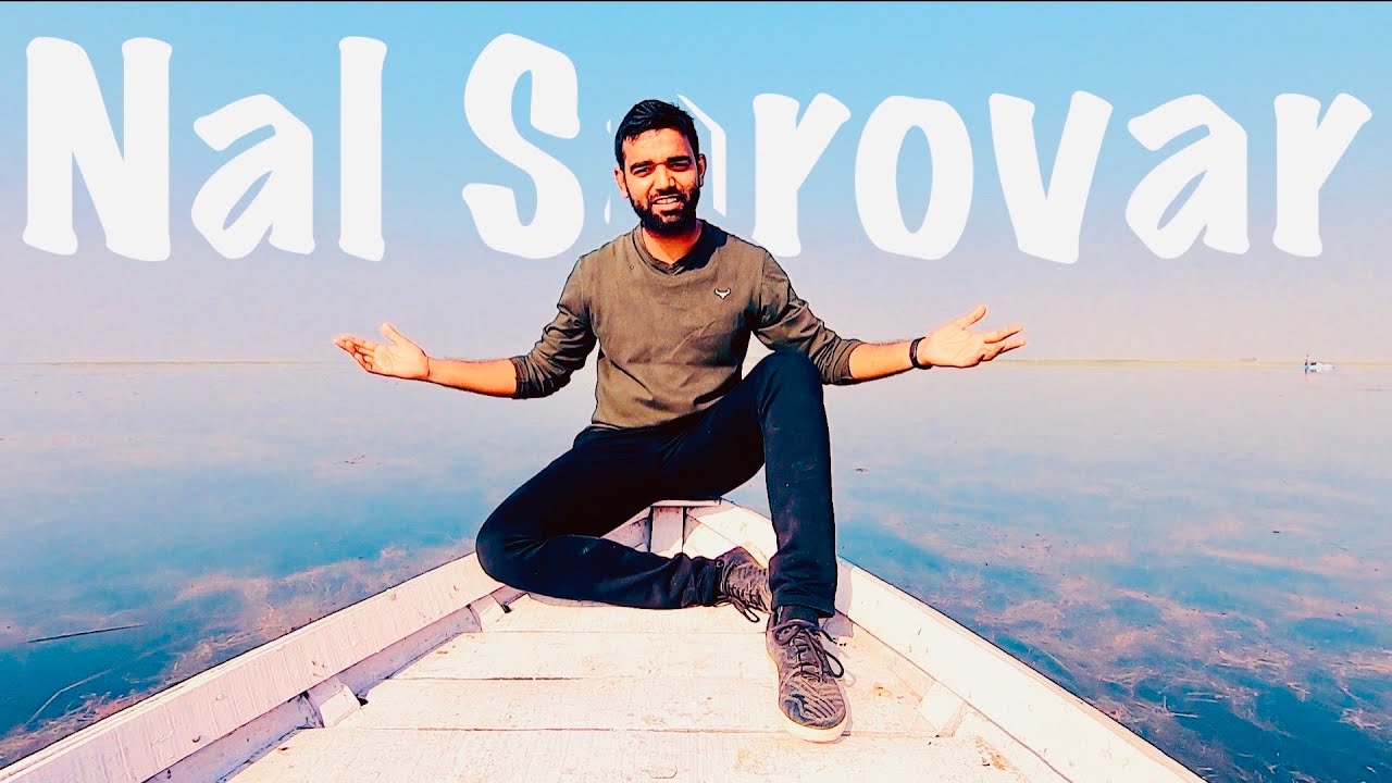 Nal Sarovar Bird Sanctuary 2020 | Nal Sarovar Lake | Largest lake of ...