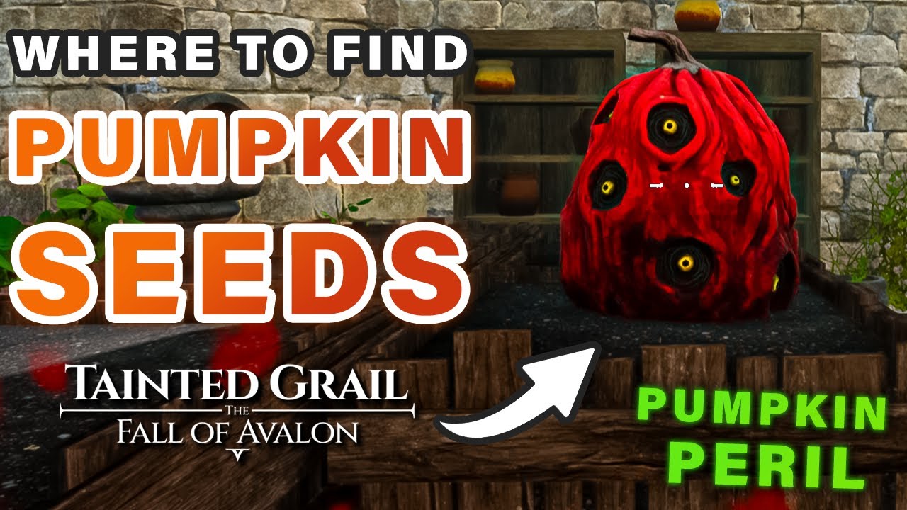 Where to Find Pumpkin Seeds | Pumpkin Peril Quest Tainted Grail: The ...