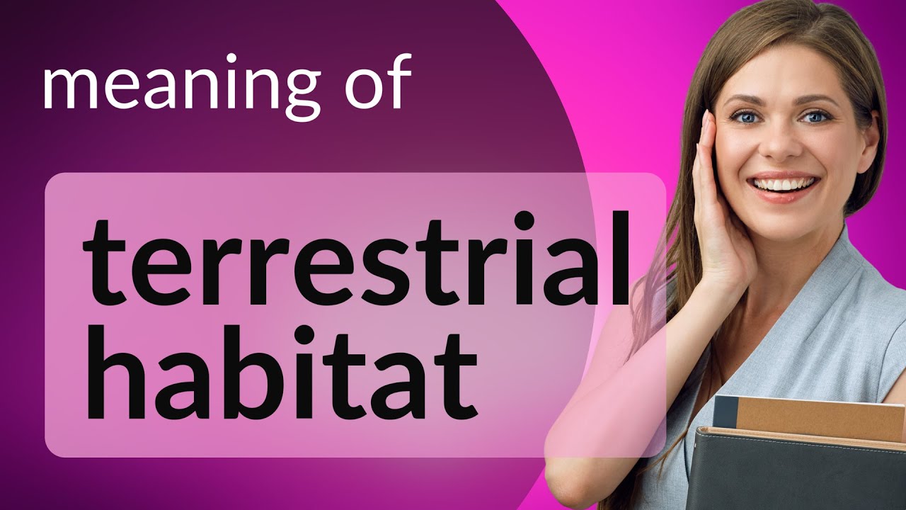 Exploring Our Earth: The Magic of Terrestrial Habitats - YouTube