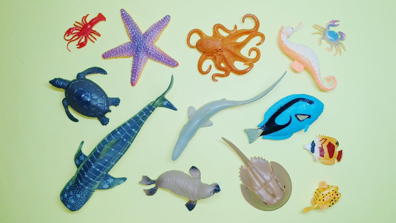 Hunting Found Sea Animals Clown Fish, Hammerhead Shark, Orca Whale ...