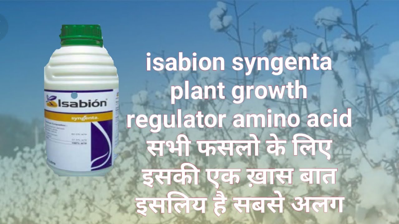 #isabionsyngenta syngenta isabion। isabion plant growth regulator - YouTube