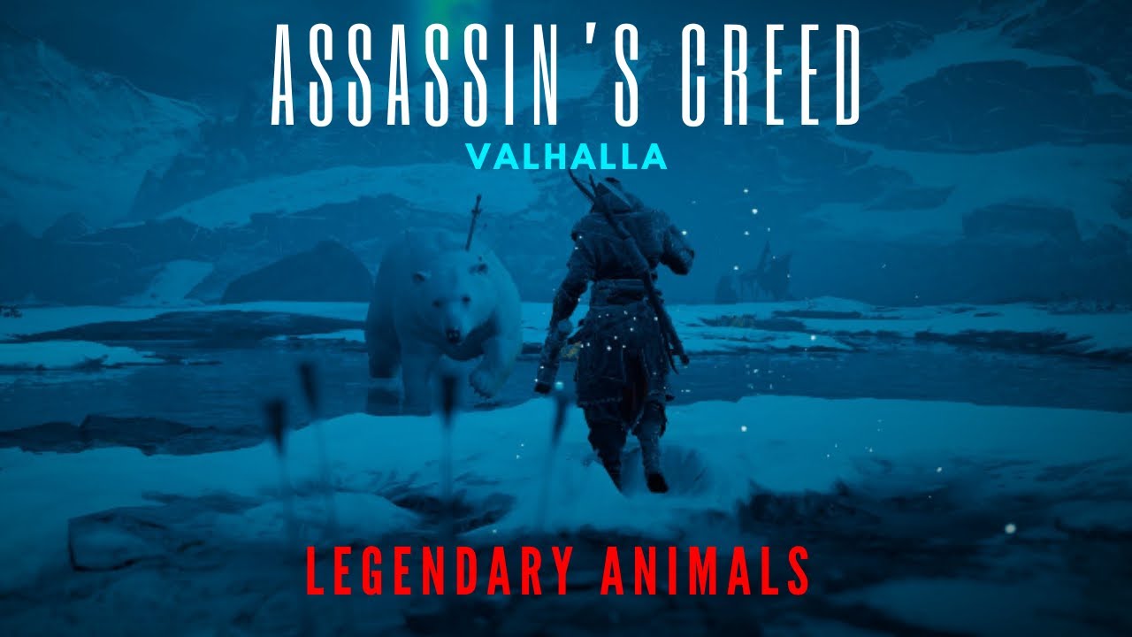 Assassin's Creed Valhalla Legendary Animals| BEAR of the BLUE WATERS ...