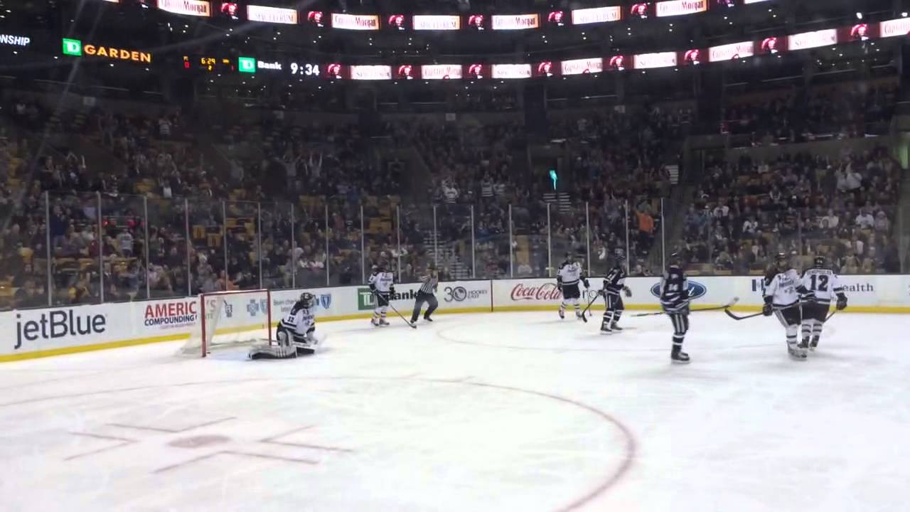 Justin Agosta Game-Winning Goal, HE Semi - YouTube
