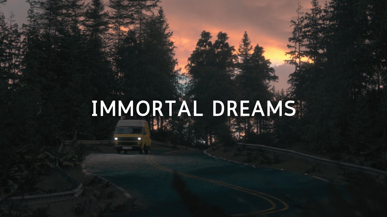 Embrace Your Unique Journey: The Power of Persistent Dreams - YouTube