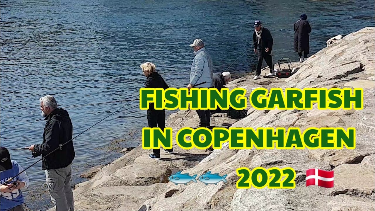 SENIOR LIFE IN DENMARK / FISHING GARFISH IN SLUSEHOLMEN/COPENHAGEN ...
