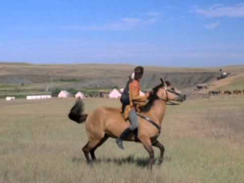 Dances With Wolves Cisco