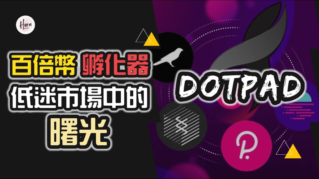 『Dotpad』低迷市場中的曙光！發射平台解析！ - YouTube