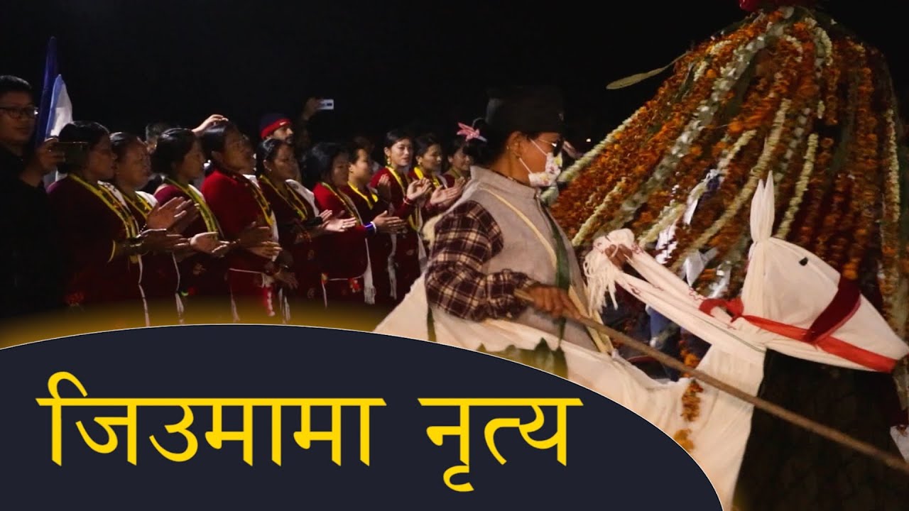 Jyu Mama Dance II Gandaki Pragya Pratisthan II Manoj Gharti Magar II ...